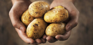 Welcome to our Online Shop - Yorkshire Crisps